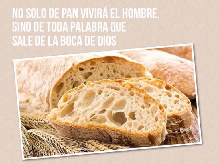 El pan de vida - Encuentros con JesusEncuentros con Jesus